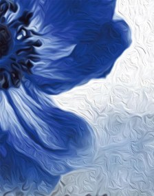 Obraz modrý květ Velikost (šířka x výška): 90x90 cm