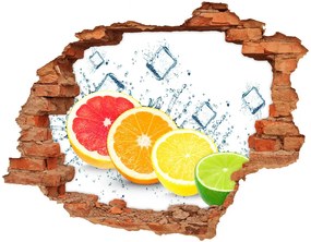 Wallmuralia Nálepka 3D díra na zeď Citrusové ovoce 90x70 cm
