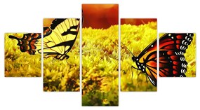 Obraz motýlů (125x70 cm)