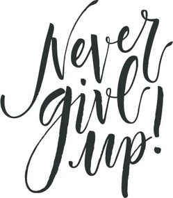 Samolepka Never give up