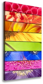 Wallmuralia Vertikální Foto obraz na plátně Barevné květiny 50x100