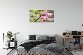 Obraz na skle magnolie strom 125x50 cm