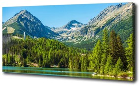 Wallmuralia Foto obraz na plátně Jezero v horách 100x50