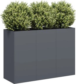 vidaXL Truhlík rezavá 120x40x80 cm [860721] Barva: antracitová