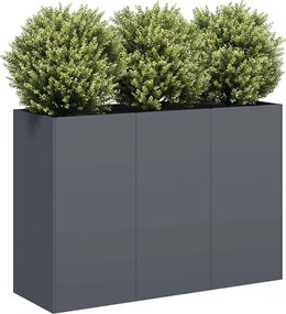 vidaXL Truhlík rezavá 120x40x80 cm [860721] Barva: antracitová