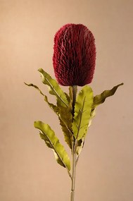 Paramit DRY BANKSIA Aranžovací květina červená 65 cm