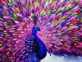NORIMPEX Malování podle čísel Páv s růžovým ocasem / 40x50 cm