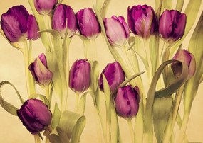 Obraz Tulipány V Retro Stylu Nedostatek Nedostatek Přírodní plátno 100x70