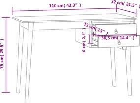 vidaXL Psací stůl se 2 zásuvkami 110 x 52 x 75 cm masivní teak [340738]