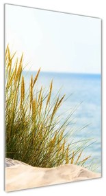 Wallmuralia Vertikální Foto obraz skleněný svislý Mořské duny 50x100