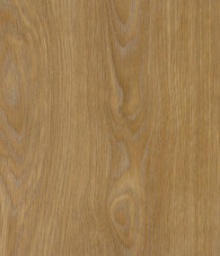 IVC Commercial, PVC podlaha - lino Logitex Ultimate 55 Elias T44, na míru, šíře 2m,4m, hnědá, filc, chodba / předsíň