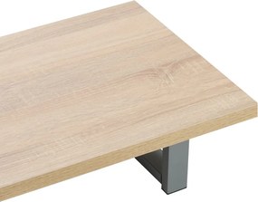 Koupelnový nábytek dub 60 x 40 x 16,3 cm 283805