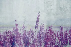 DIMEX | Samolepicí vliesová fototapeta na zeď Abstrakt levandule MA-5-0365 | 375 x 250 cm | fialová, šedá