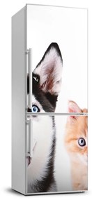Wallmuralia Foto nálepka na ledničku stěnu Pes a kočka 60x180 cm