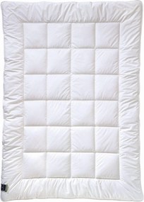 XXXLutz ZIMNÍ PŘIKRÝVKA, 155/220 cm, Billerbeck - Přikrývky - 003279001602