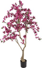 Stromek s růžovými květy Bougainvillea Tree - 80*80*180 cm