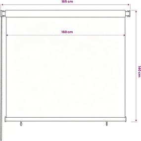 Venkovní roleta 165 (Š) x 140 (V) cm černá 312944