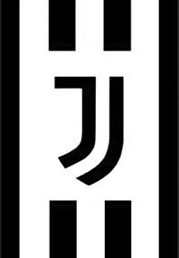 Fotbalová deka Juventus FC Black and White 150x200 cm