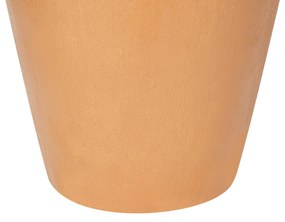 Pálená hlína Dekorativní váza 42 Oranžová DABONG Beliani