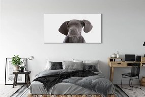 akrylový obraz hnědý pes 140x70 cm