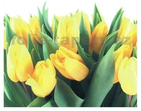 Samolepicí dekorace na kachličky Tulipány 15 x 15 cm
