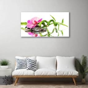 Obraz na plátně Bambus Květ Kameny Umění 140x70 cm