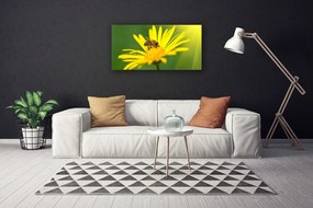 Obraz na plátně Vosa Květ Rostlina Příroda 100x50 cm