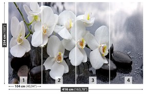 Fototapeta Orchidejové kameny 104x70