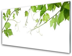 Obraz na skle Větve Listy Příroda Květiny 100x50 cm