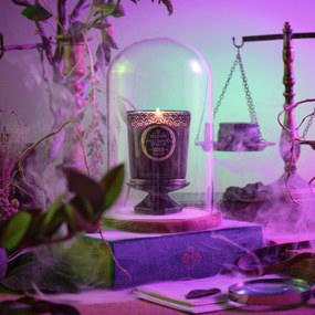 Voluspa Wicked svíčka Palo Santo Spells, 241 g