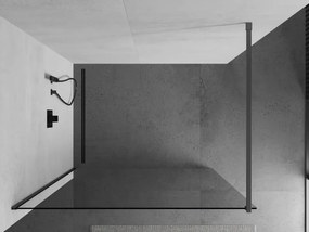 Mexen Kioto, sprchová zástěna Walk-In 120 x 200 cm, 8mm čiré sklo, grafitový profil, 800-120-101-95-00