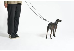 Postroj pro psa MiaCara Modena šedý Velikost: S: 52-64 cm
