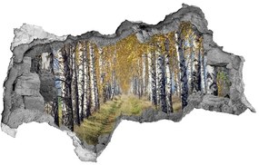 Wallmuralia Samolepící nálepka Břízy podzim 95x73 cm