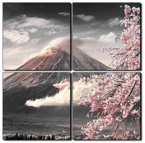 Obraz na plátně - Hora Fuji a třešňové květiny na jaře- čtverec 3266QE (60x60 cm)