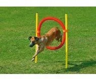 AGILITY PROSKAKOVACÍ KRUH