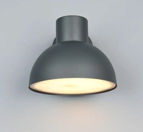 Nástěnné venkovní svítidlo (výška 18,5 cm) Elbe – Trio