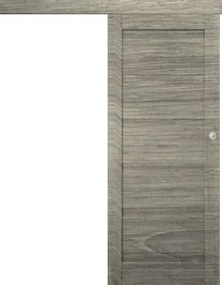 posuvné interiérové dveře na stěnu vasco doors EVORA plné, model 1 Průchozí rozměr: 70 x 197 cm, Orientace dveří: Levé dveře, Dekor: Dub stříbrný