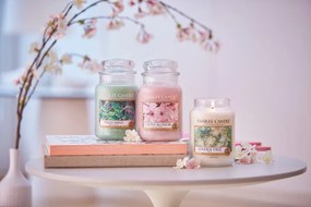 Svíčka Sweet Morning Rose - Yankee Candle