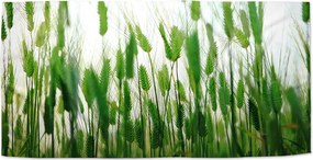 Sablio Ručník Klasy - 50x100 cm