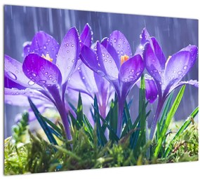 Skleněný obraz květin v dešti (70x50 cm)