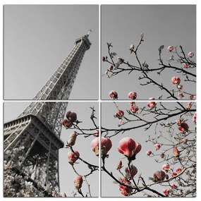 Obraz na plátně - Eiffelova věž v jarním období - čtverec 334ČD (60x60 cm)