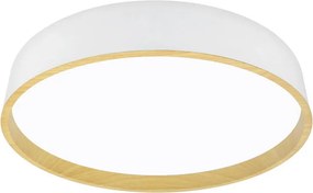 XXXLutz STROPNÍ LED SVÍTIDLO, 40/8 cm - Stropní svítidla - 004182003801