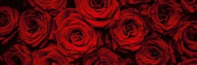 Fototapeta do kuchyně KI180-132 Red Roses 180 x 60 cm