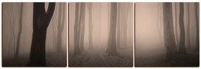 Obraz na plátně - Mlha v lese - panoráma 5182FB (120x40 cm)