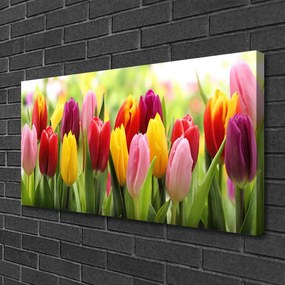 Obraz na plátně Tulipány Květiny Příroda 120x60 cm