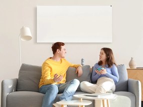 Nástěnný infrapanel Economy 700W | Výhřevnost 12,5 m2 | 120x60 cm | Bez termostatu