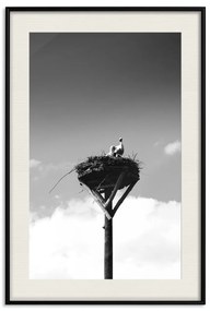 Plakát Orlí hnízdo - fotografie ptáků v hnízdě na pozadí nebe a oblaků