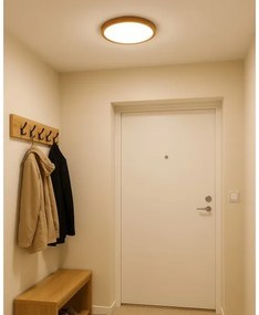 LED Stropní svítidlo LED/18W/230V 3000/4000/6500K pr. 23 cm béžová
