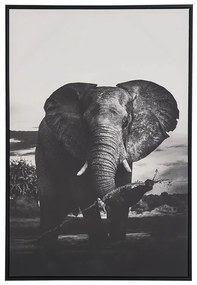 Zarámovaný obraz na plátně slon 63 x 93 cm šedý NIBBIA Beliani