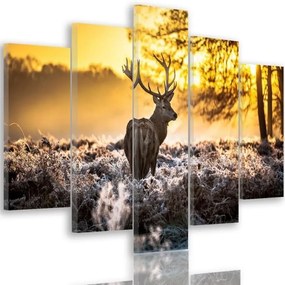 Obraz na plátně pětidílný Západ slunce v Jelením lese - 200x100 cm